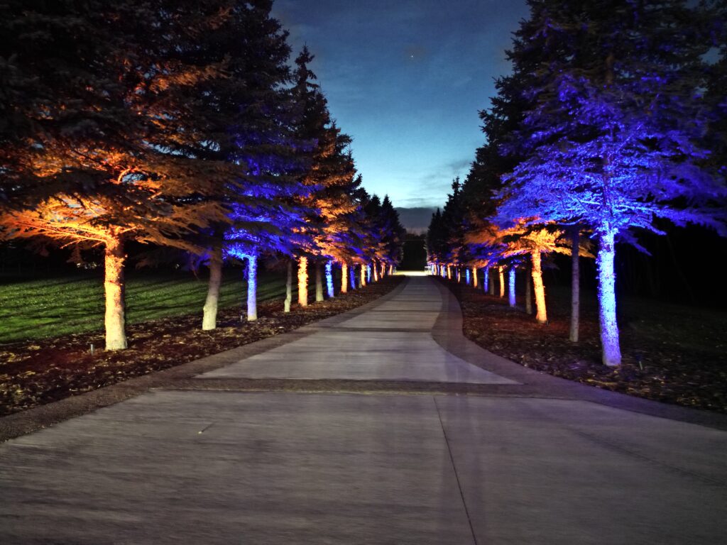 Landscape Lighting | Outdoor Lighting Solutions Edmonton | Buksh Landscapes